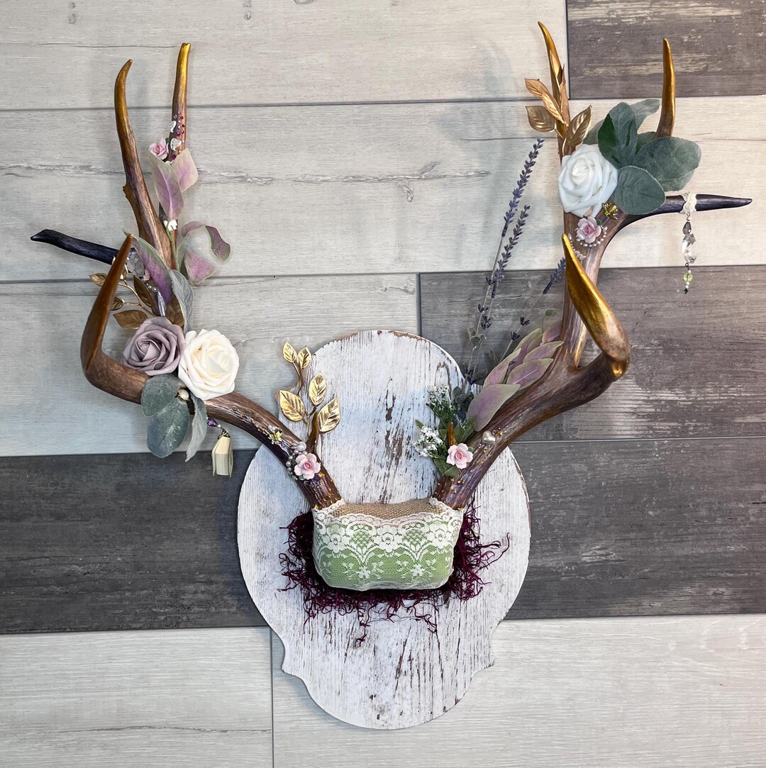 Taxidermy Art Bone Art Western Art Deer Fairycore Antlers Deer Antlers ...