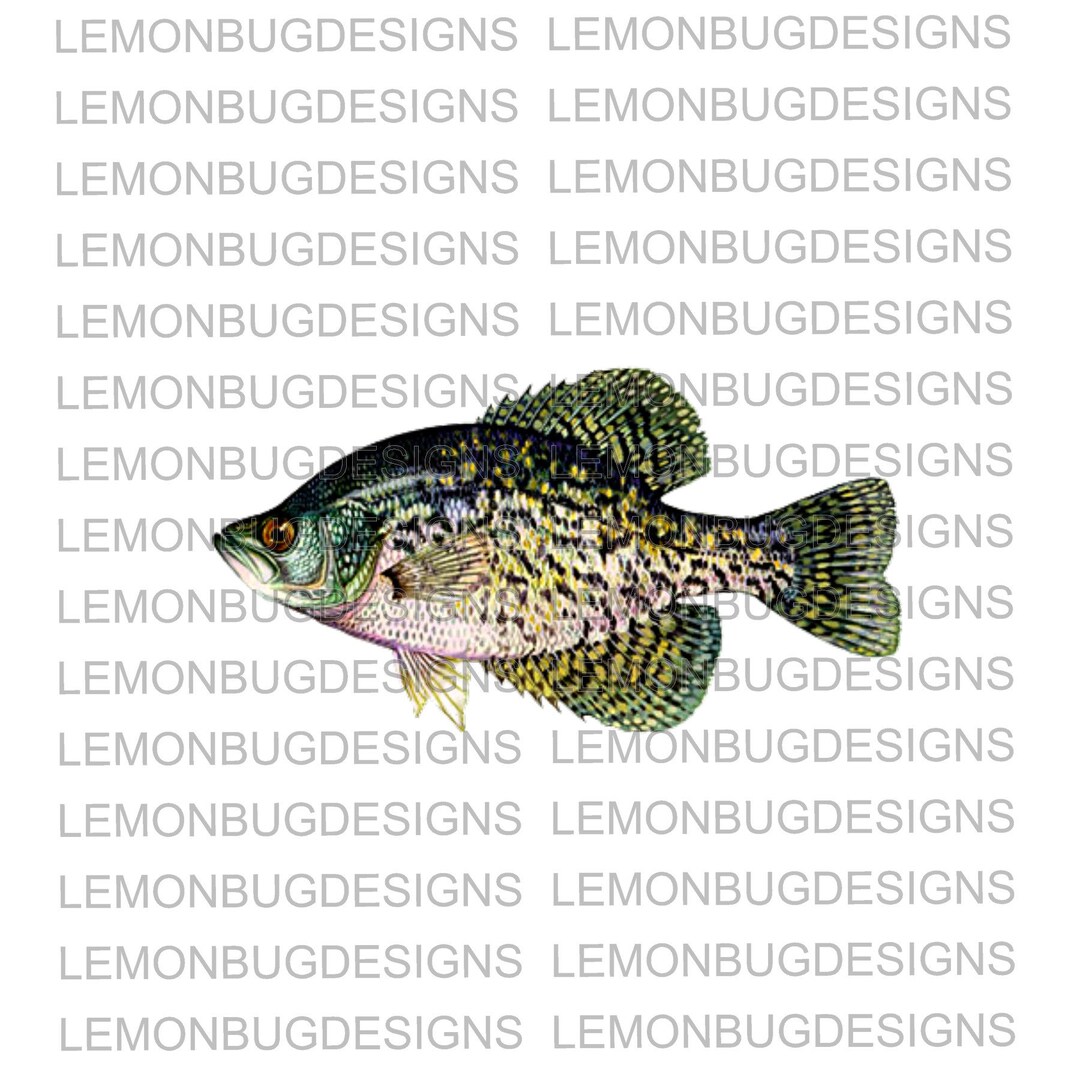 Crappie Mood PNG, Crappie PNG, Fishing PNG, Digital Download ...