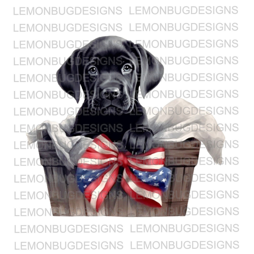 Black Lab Puppy PNG: Patriotic 4th of July (digital Download) - Etsy