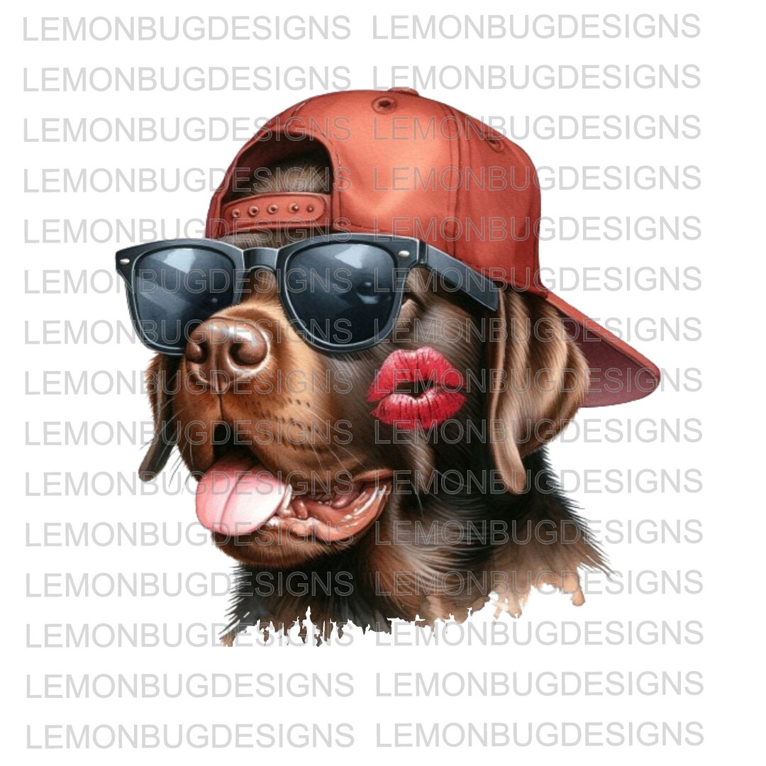 Chocolate Lab Valentine Png, Valentine Png, T-shirt Design, Sublimation ...