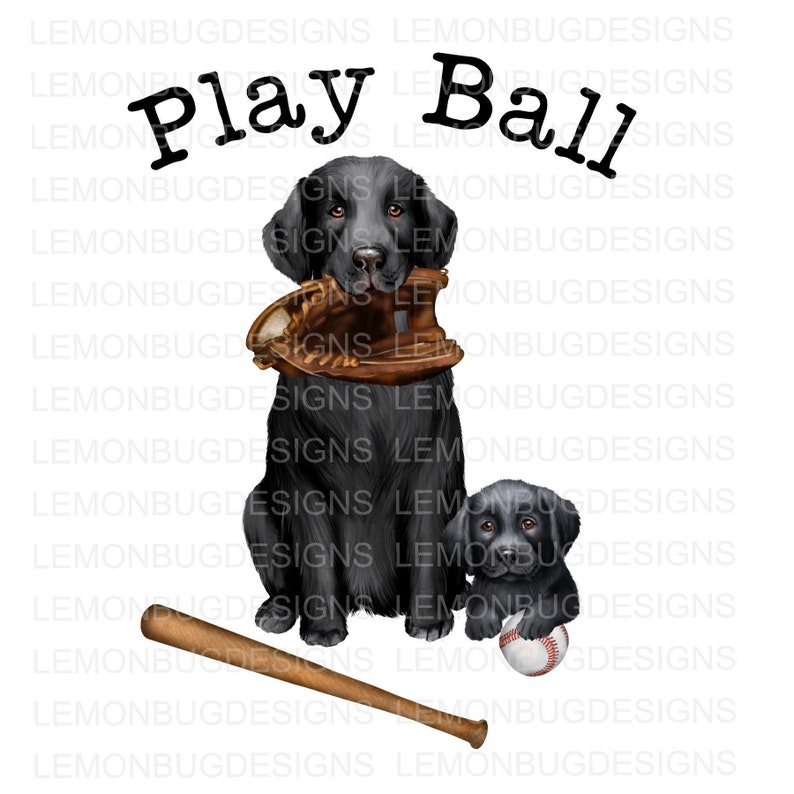 Labrador Baseball PNG: Play Ball Clipart (digital Download) - Etsy