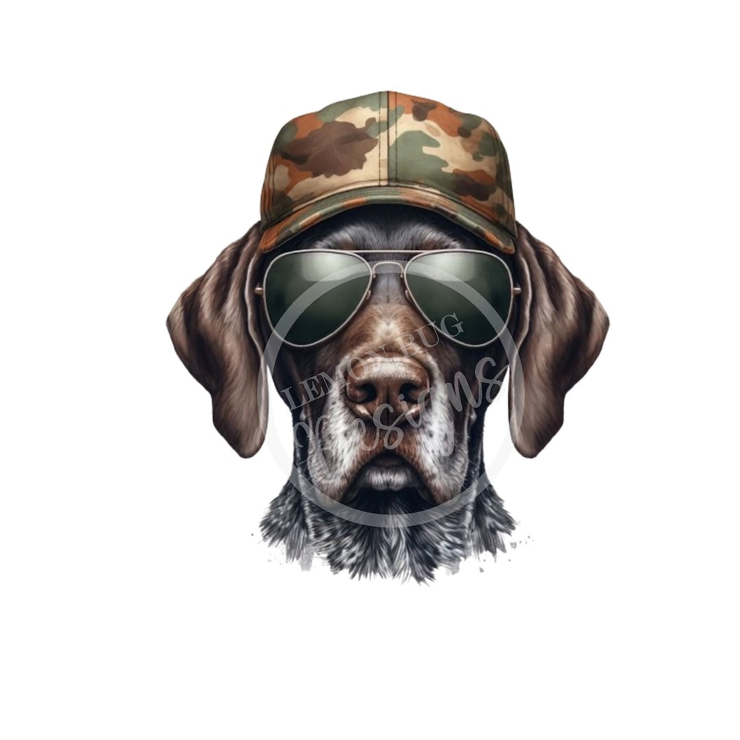 Hunting Dog Png, Hunting PNG, Duck Png, Quail Png, Pheasant Png, Bird ...