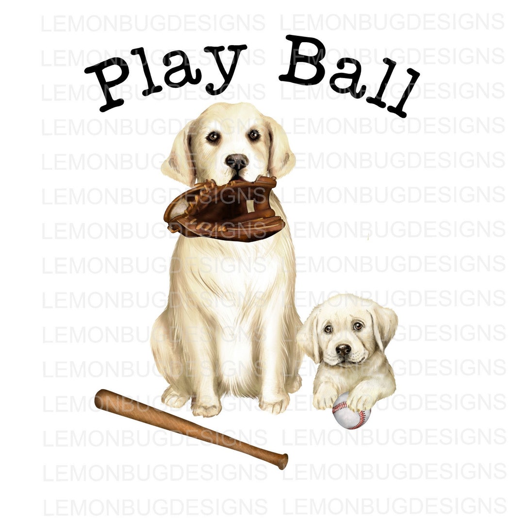 Play Ball PNG Labrador PNG Baseball PNG Digital Download Sublimation ...