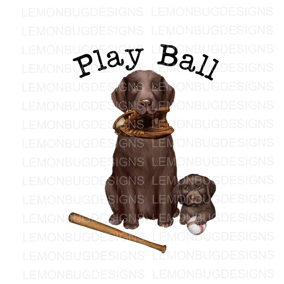 Play Ball PNG Labrador PNG Baseball PNG Digital Download Sublimation ...
