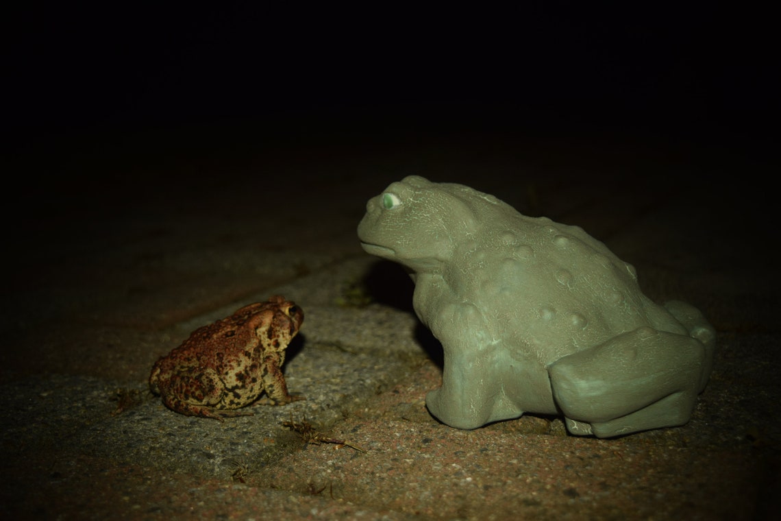 Handmade Ceramic Frog Garden Statue Outdoor or Indoor | Etsy