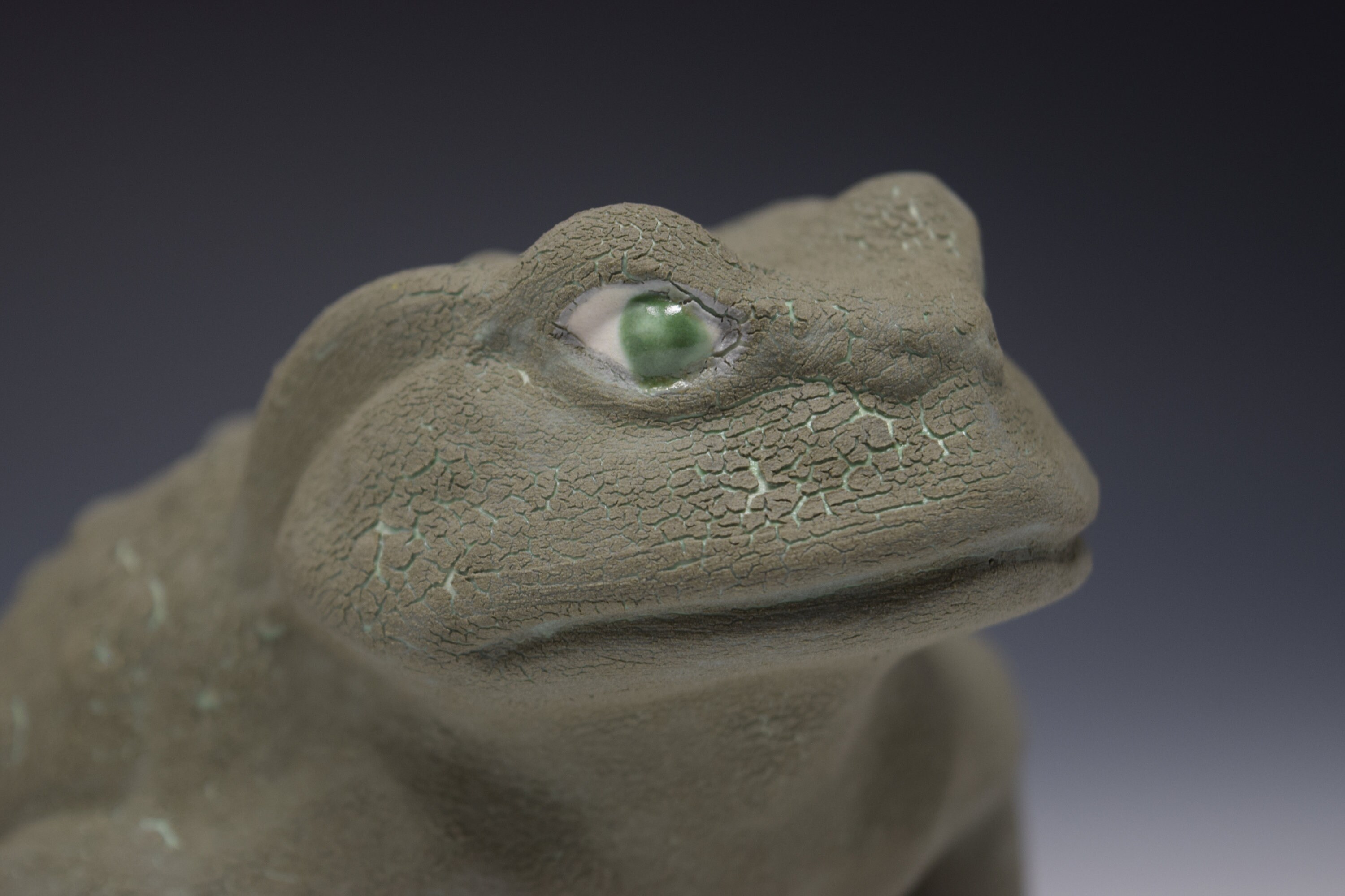 Handmade Ceramic Frog Garden Statue , Outdoor or Indoor Decoration ...