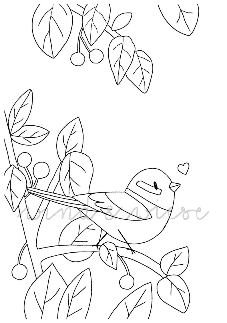 Cute Birds Coloring Pages as Instant Pdf Download - Etsy
