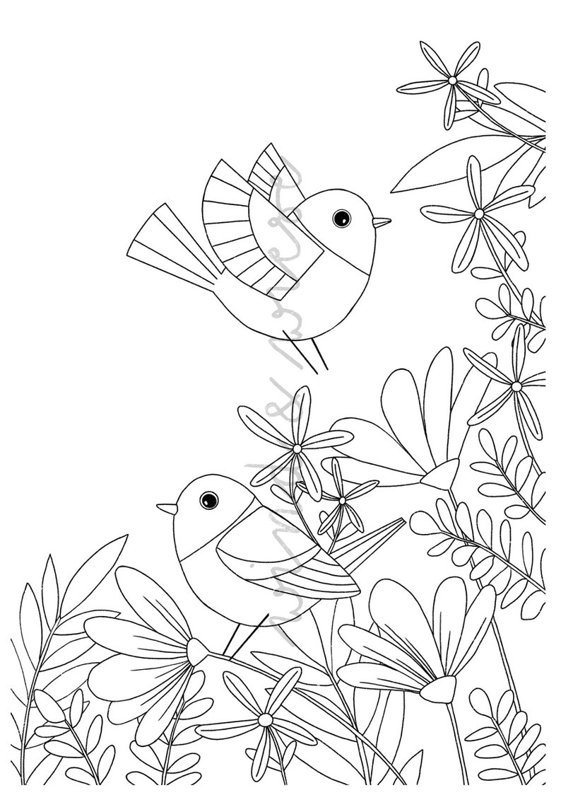 Cute Birds Coloring Pages as Instant Pdf Download - Etsy