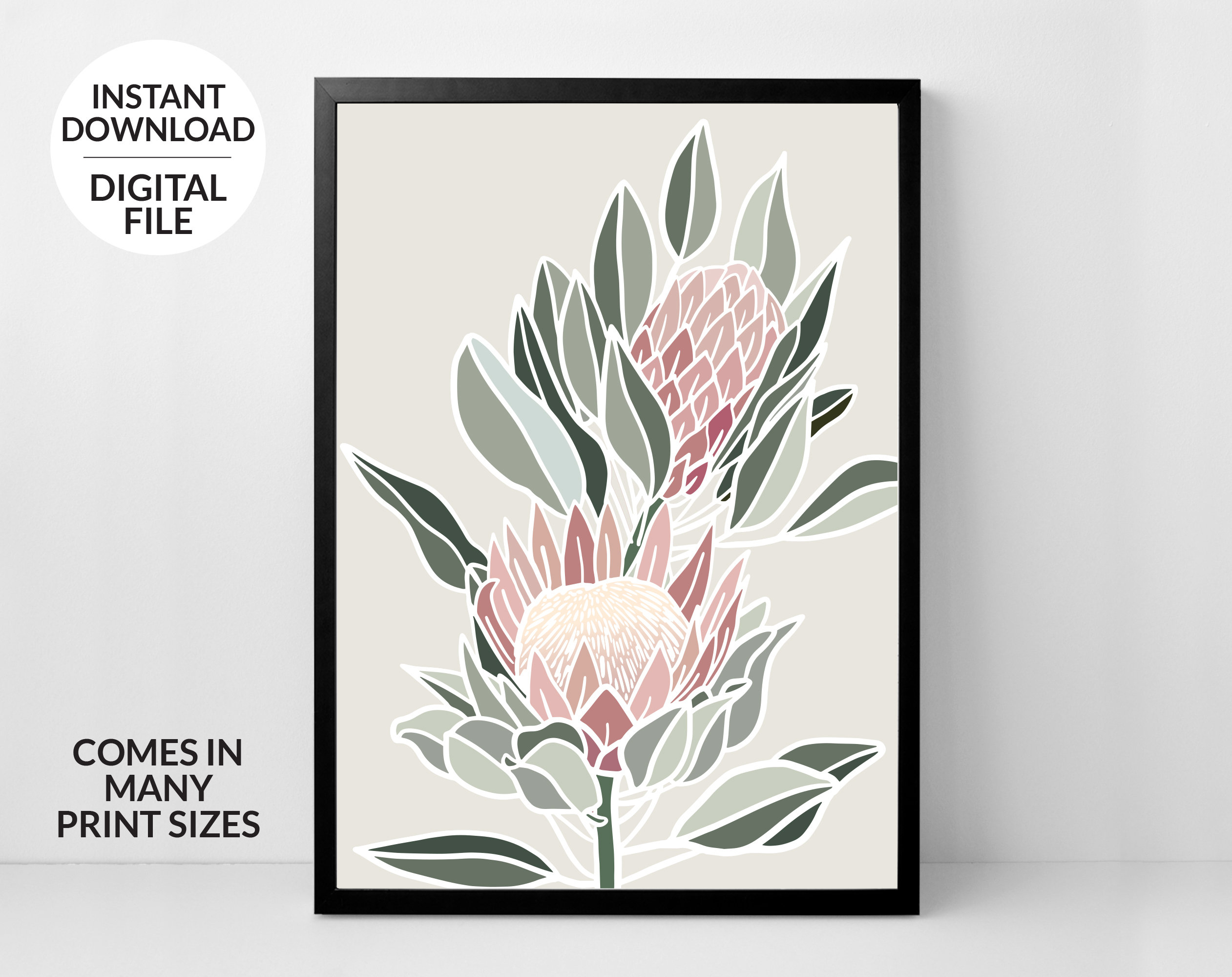 South African Protea Native Flower Art Print Australian Prints Native ...