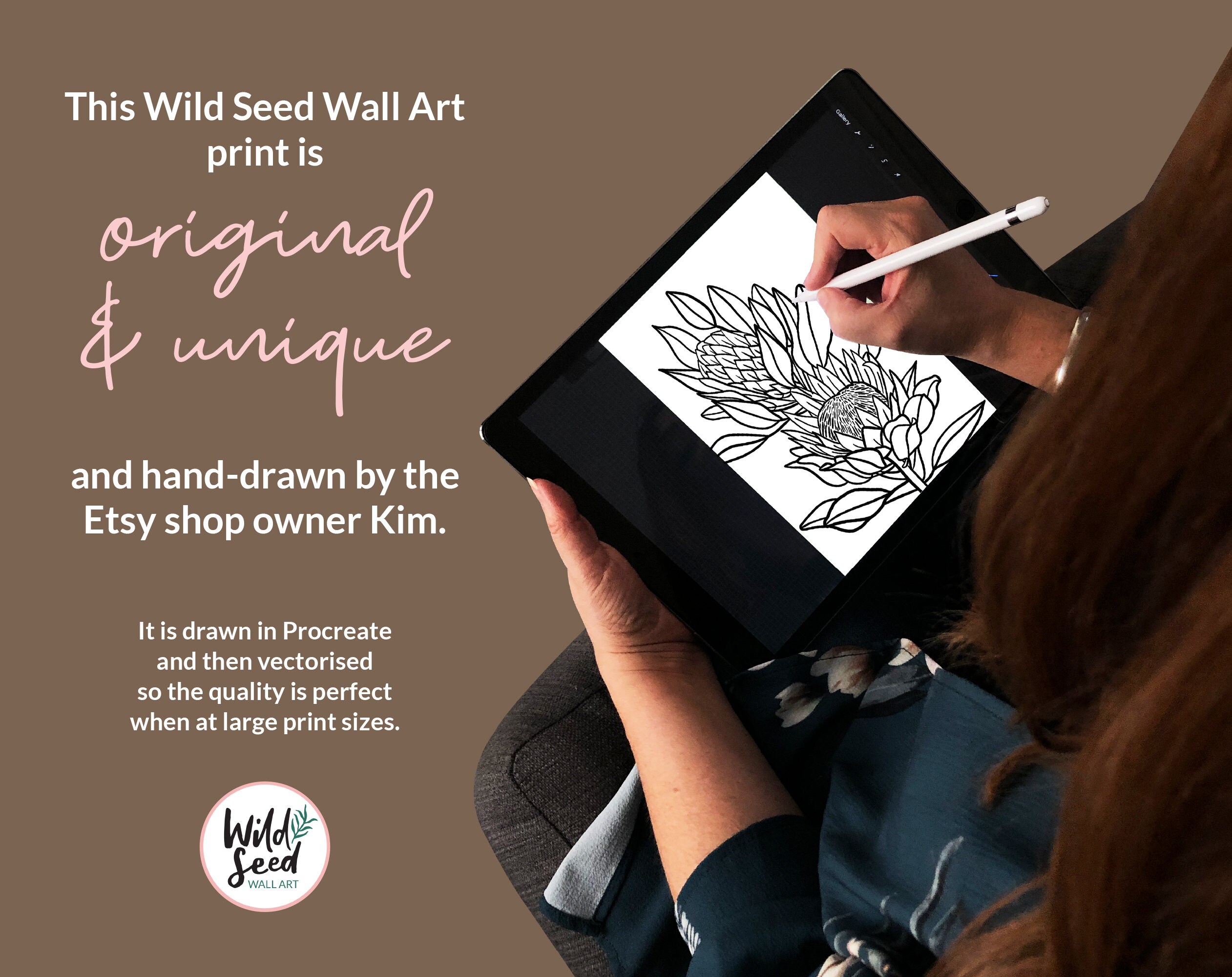 Navy Blue Australian Native Flower Art Print Australian Protea Art ...