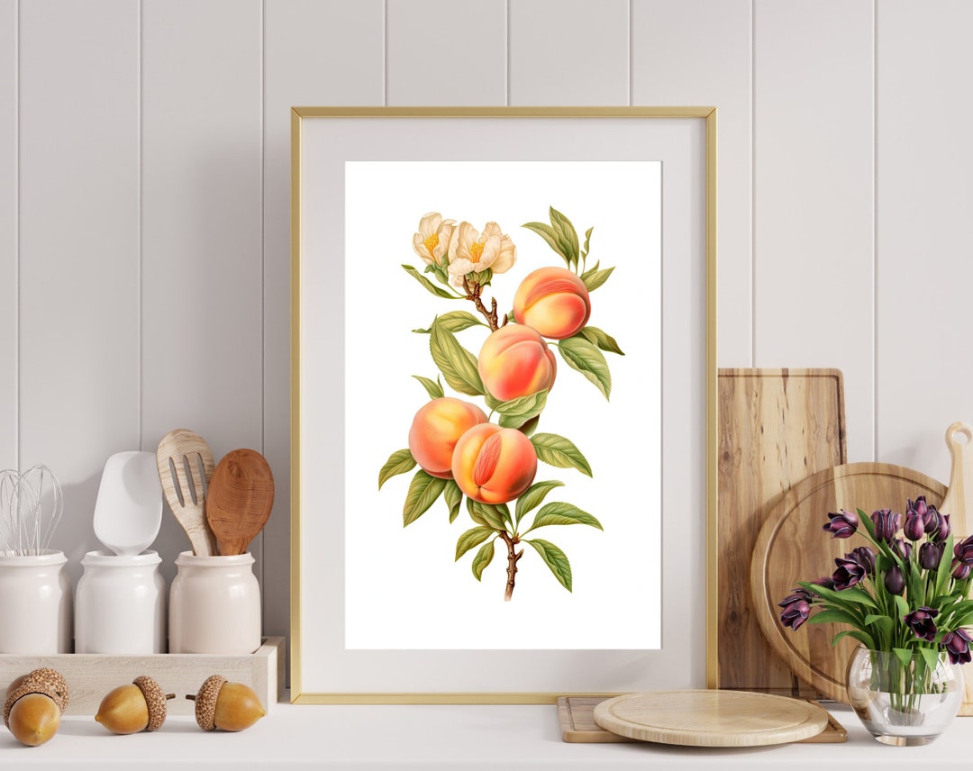 Peaches Print Peach With Flowers Wall Art Peach Print Kitchen Wall ...
