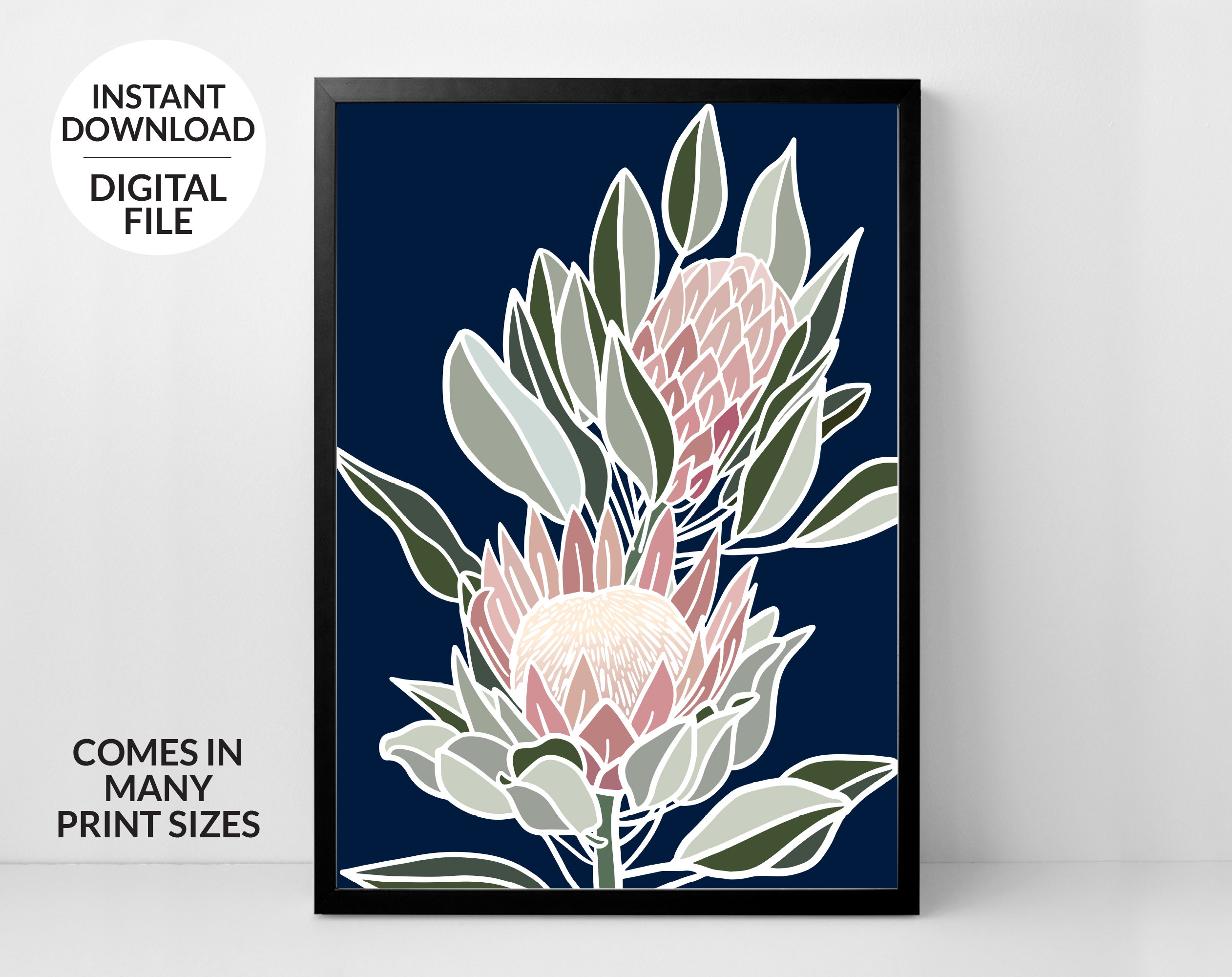 Navy Blue Australian Native Flower Art Print Australian Protea Art ...