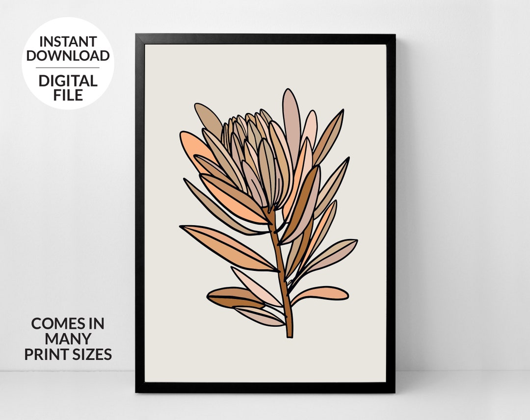 Australian Native Flower Art Print Australian Prints Native - Etsy
