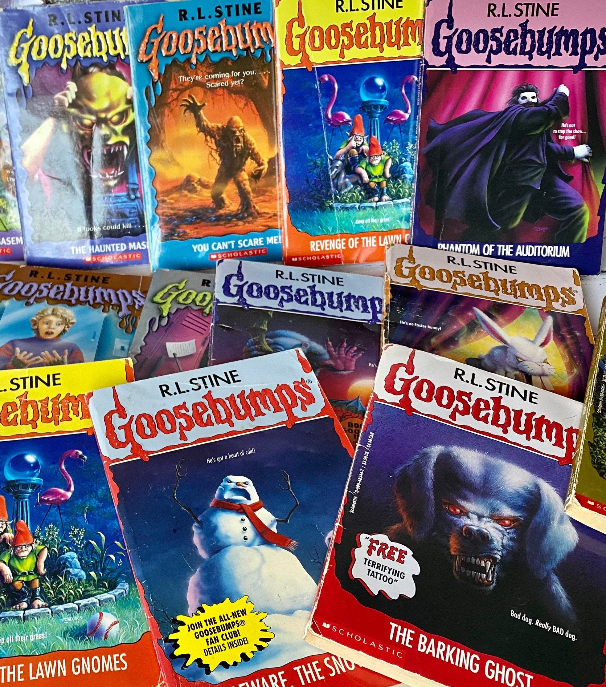 Pick Your Own Goosebumps Goosebumps Books RL Stine 90s - Etsy Canada