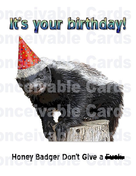 Badger Birthday Memes Best Funny Honey Badger Memes That Had Us