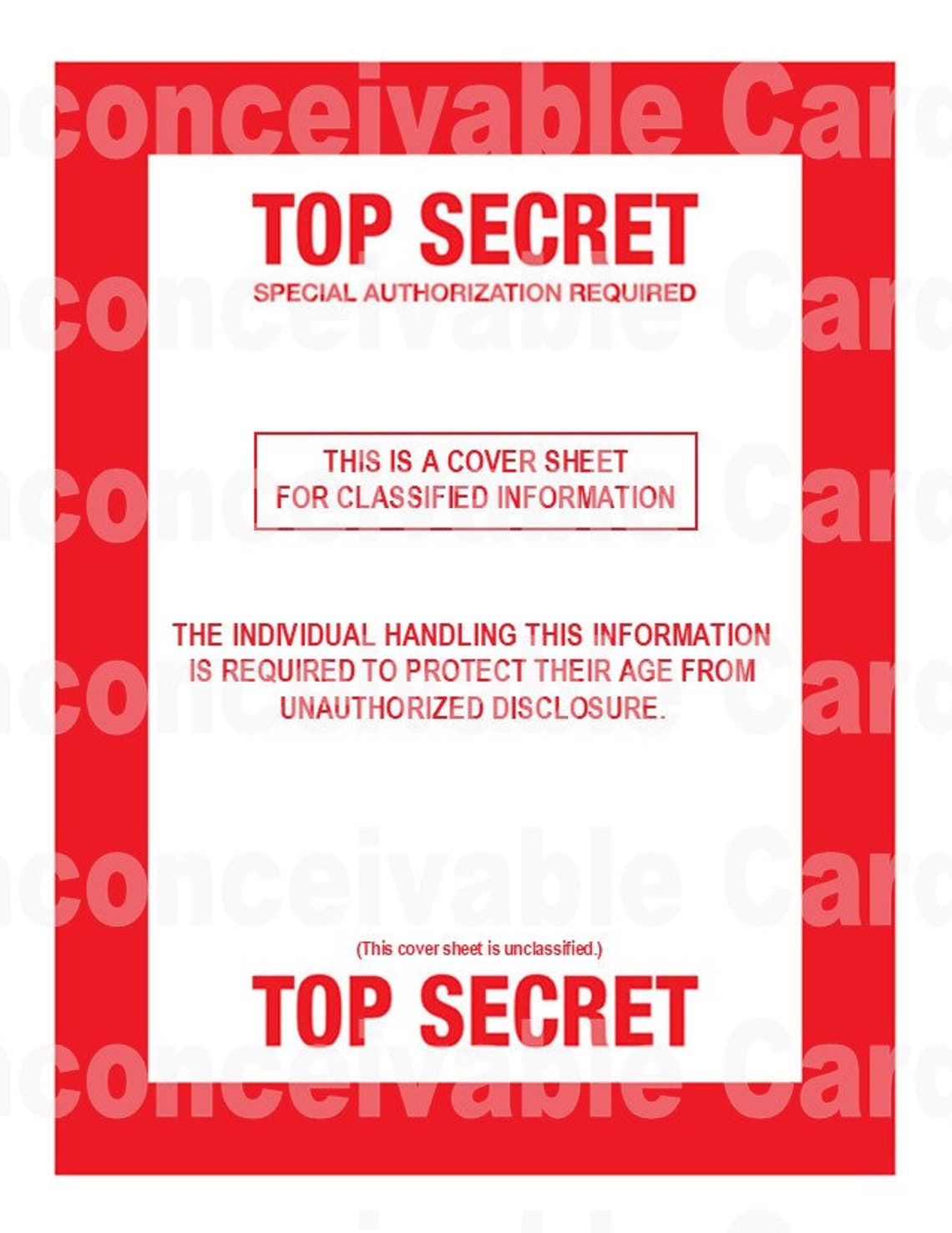 TOP SECRET Birthday Wish - FUNNY! Handmade Birthday Cards - Etsy