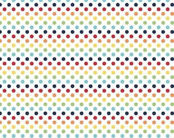 Small Dot Aqua for Riley Blake Designs | Etsy