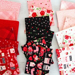 Falling in Love Panel Red by Dani Mogstad for Riley Blake Designs - Etsy