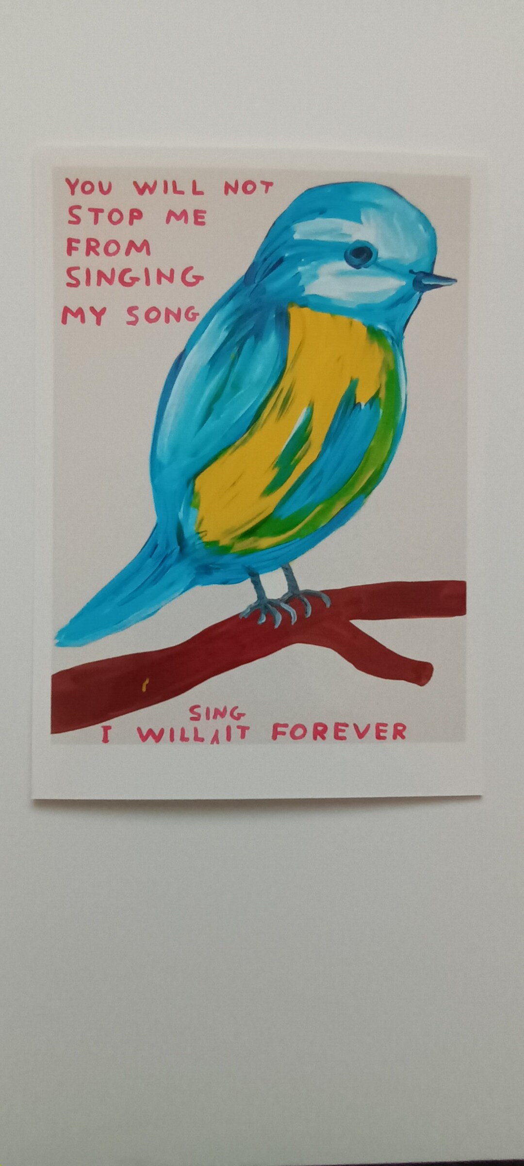 David Shrigley 'you Will Not Stop Me Singing My Song '. Open Edition A5 ...