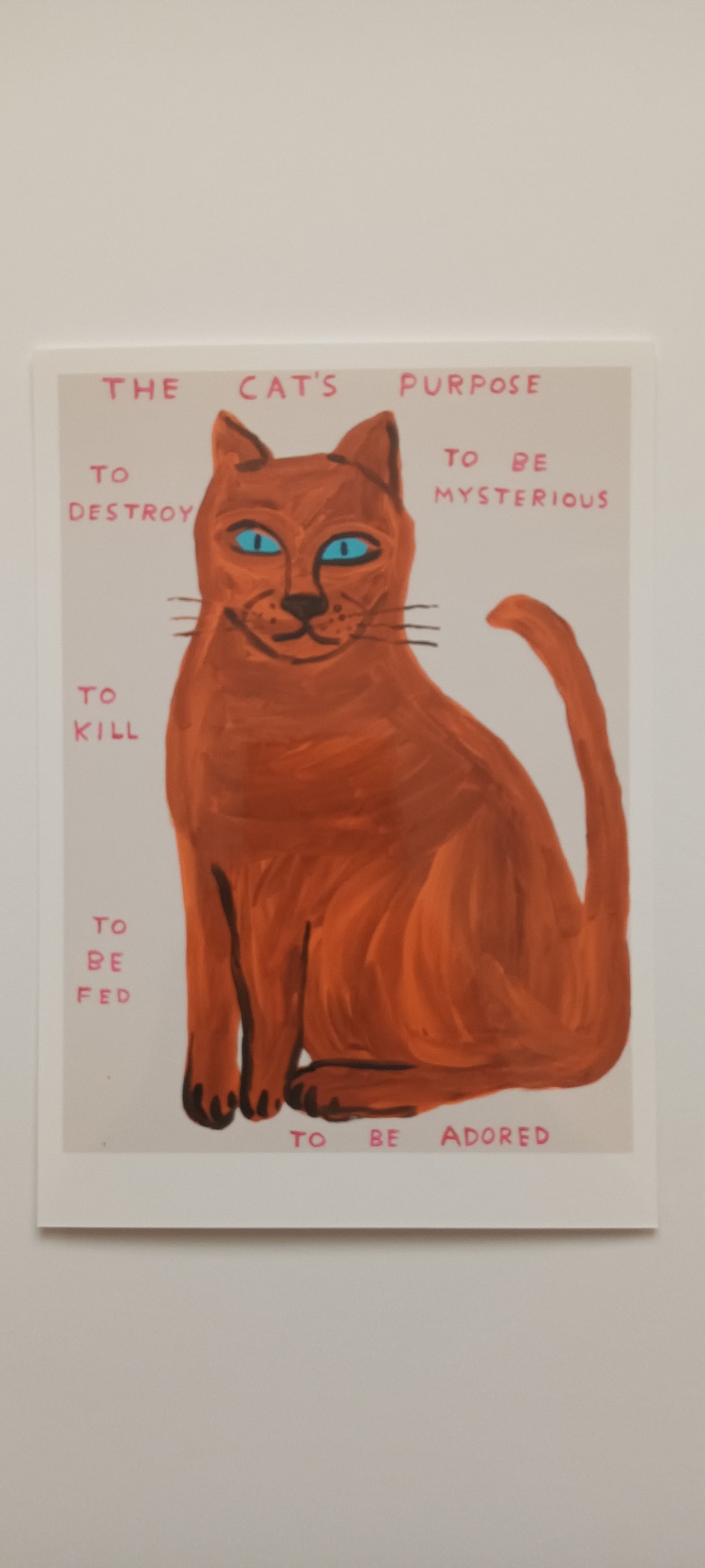 David Shrigley british B.1968 'the Cat's Purpose '. Open Edition A5 Cat ...