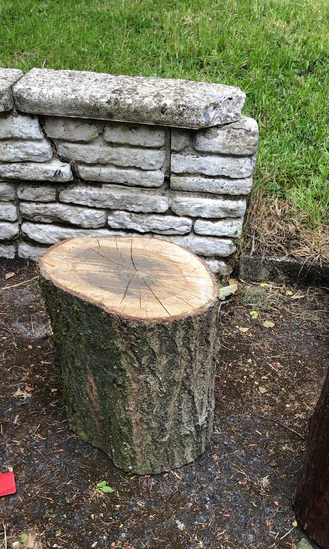 Natural Tree Log for Garden Stumpery - Etsy UK