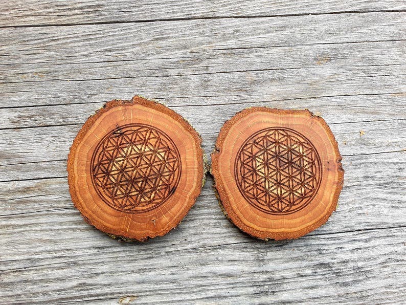 Coaster Set Wood Bamboo Cork Slate Stone Individual Engraving Flower of ...