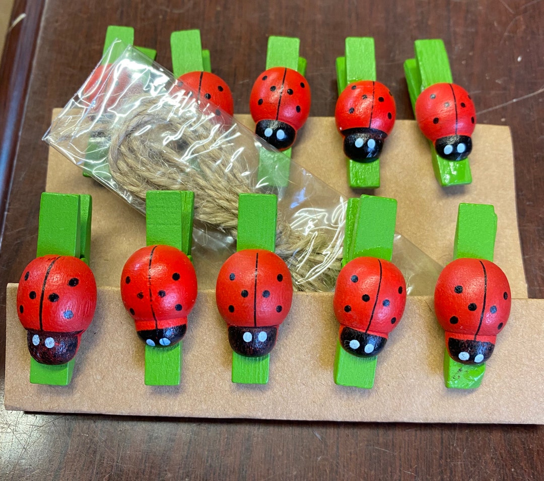10 Piece Wooden Mini Red Ladybird Crafting Pegs/clips for Children ...