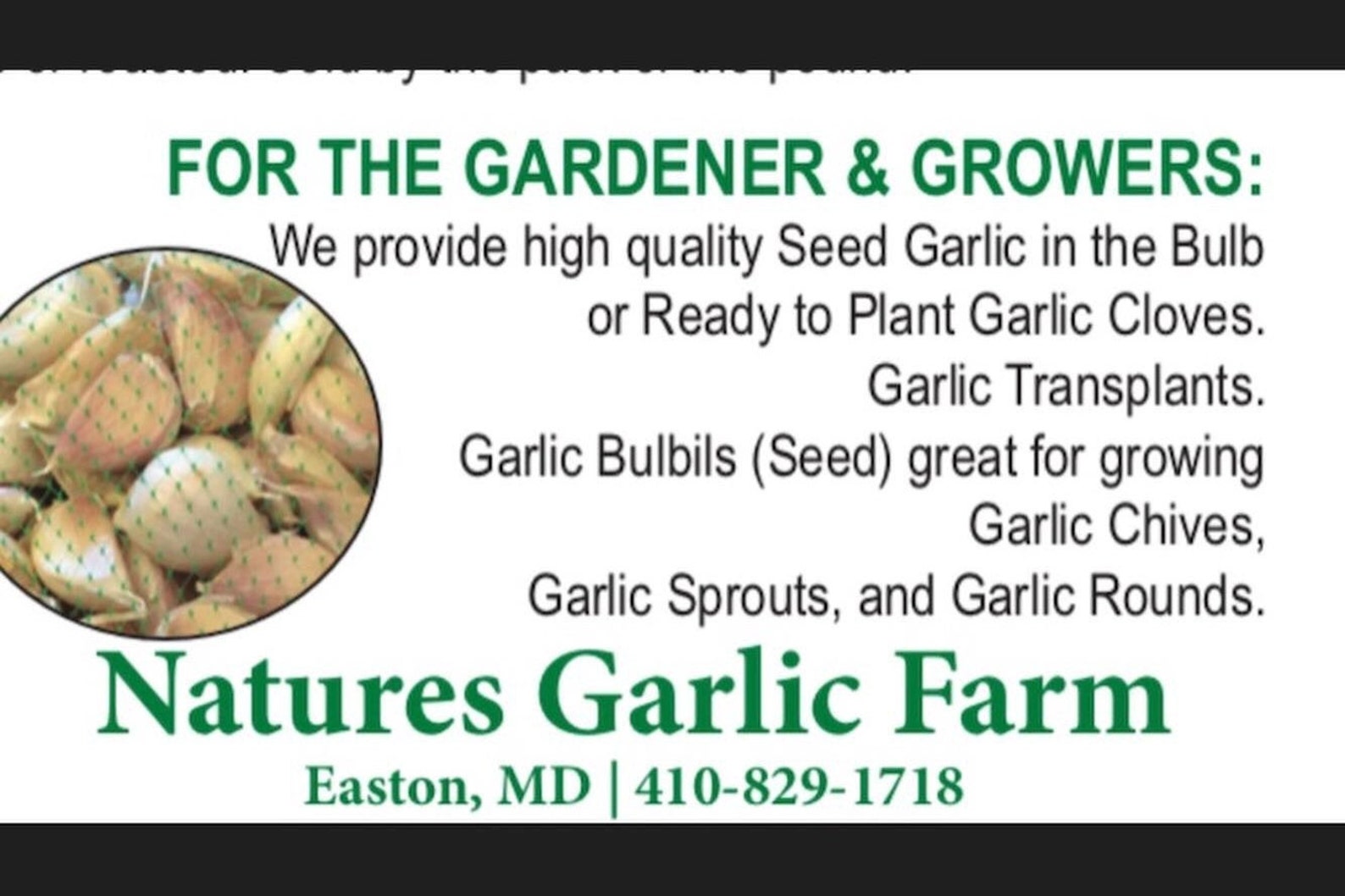 Heavy Duty 4 Row Dibbler Wheel | Etsy