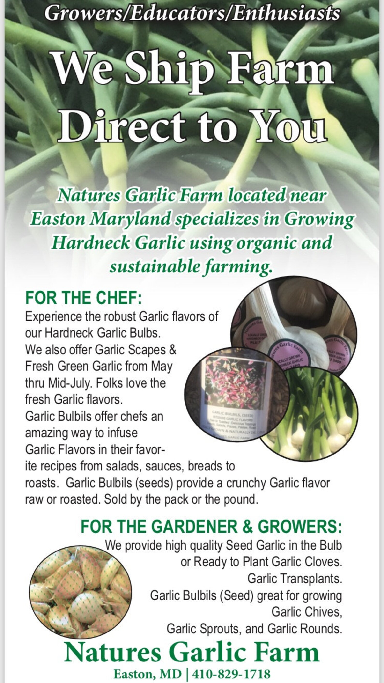 Heavy Duty 4 Row Dibbler Wheel | Etsy