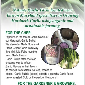 Heavy Duty 4 Row Dibbler Wheel | Etsy