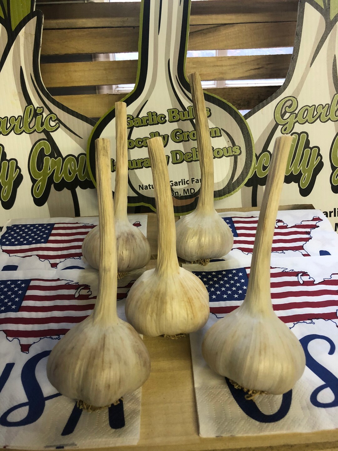 JUMBO ROASTER GARLIC Bulbs - Etsy