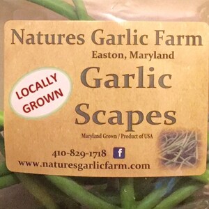 Delicious Garlic Scape Bundle Box - Etsy