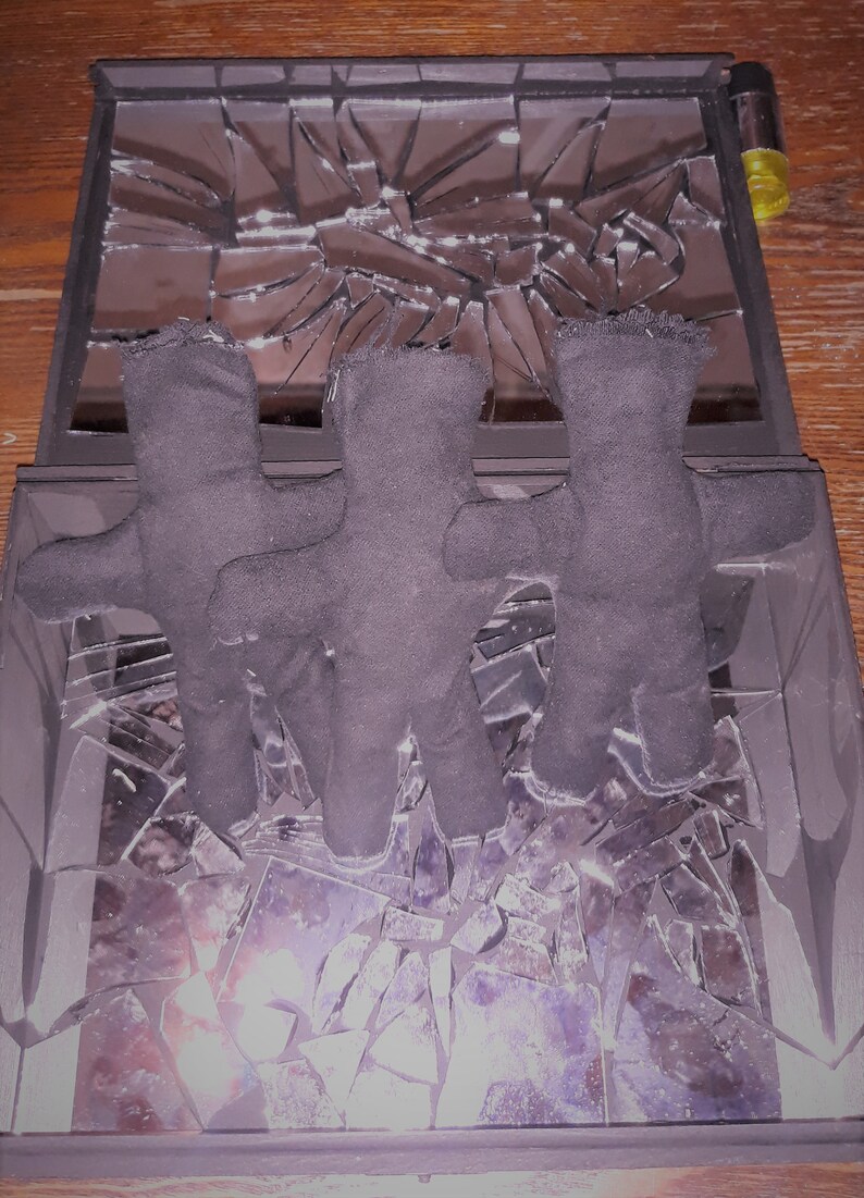 Custom Made to Order Stuffed Poppet and Mirrored Coffin Reversing Box ...