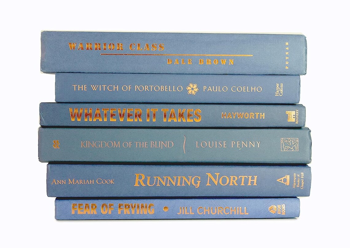 Modern Books for Decoration- 6 Inches in Length- Half-foot Light Blue ...