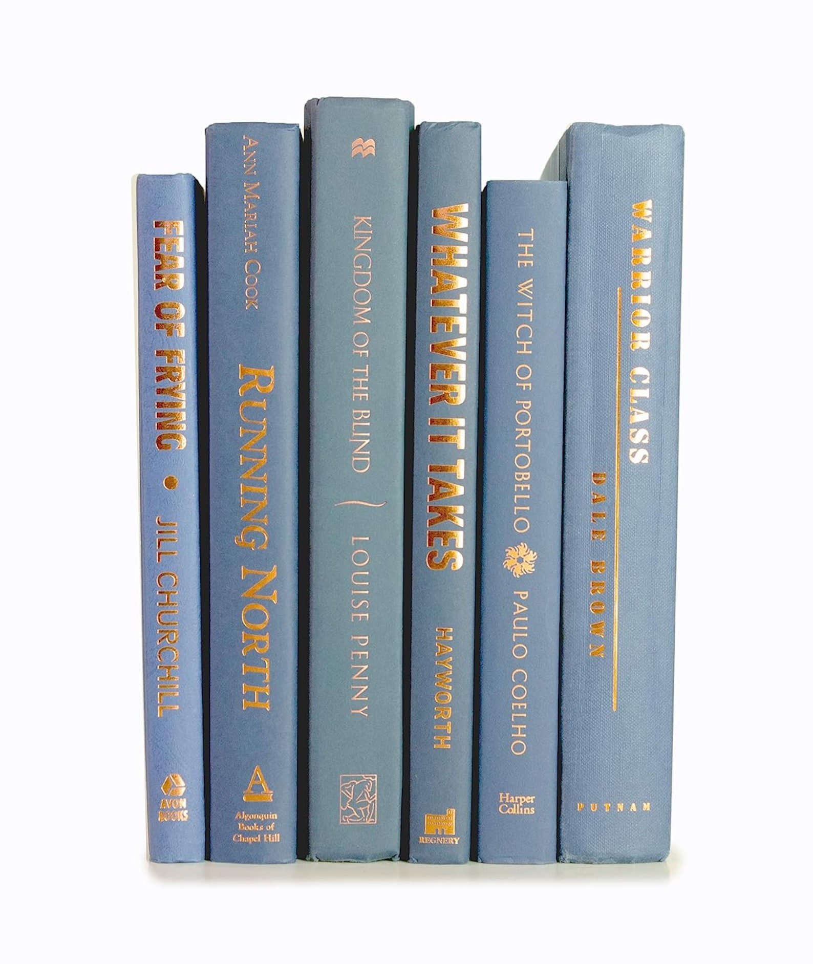 Modern Books for Decoration- 6 Inches in Length- Half-foot Light Blue ...