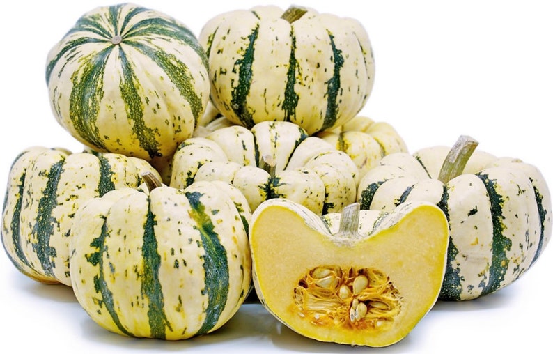 Sweet Dumpling Winter Squash Seeds - Etsy