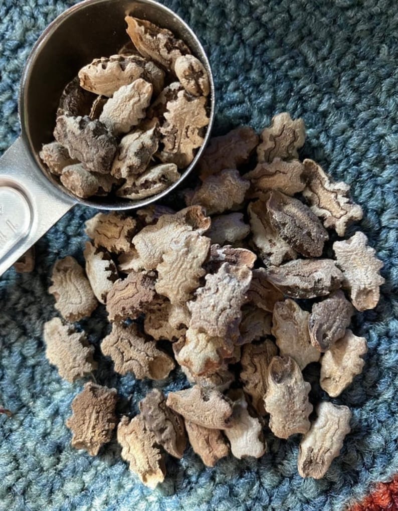 Snake Gourd Seeds (asian Vegetable) Buag Ngu,or Naga , Asian Vegetable ...