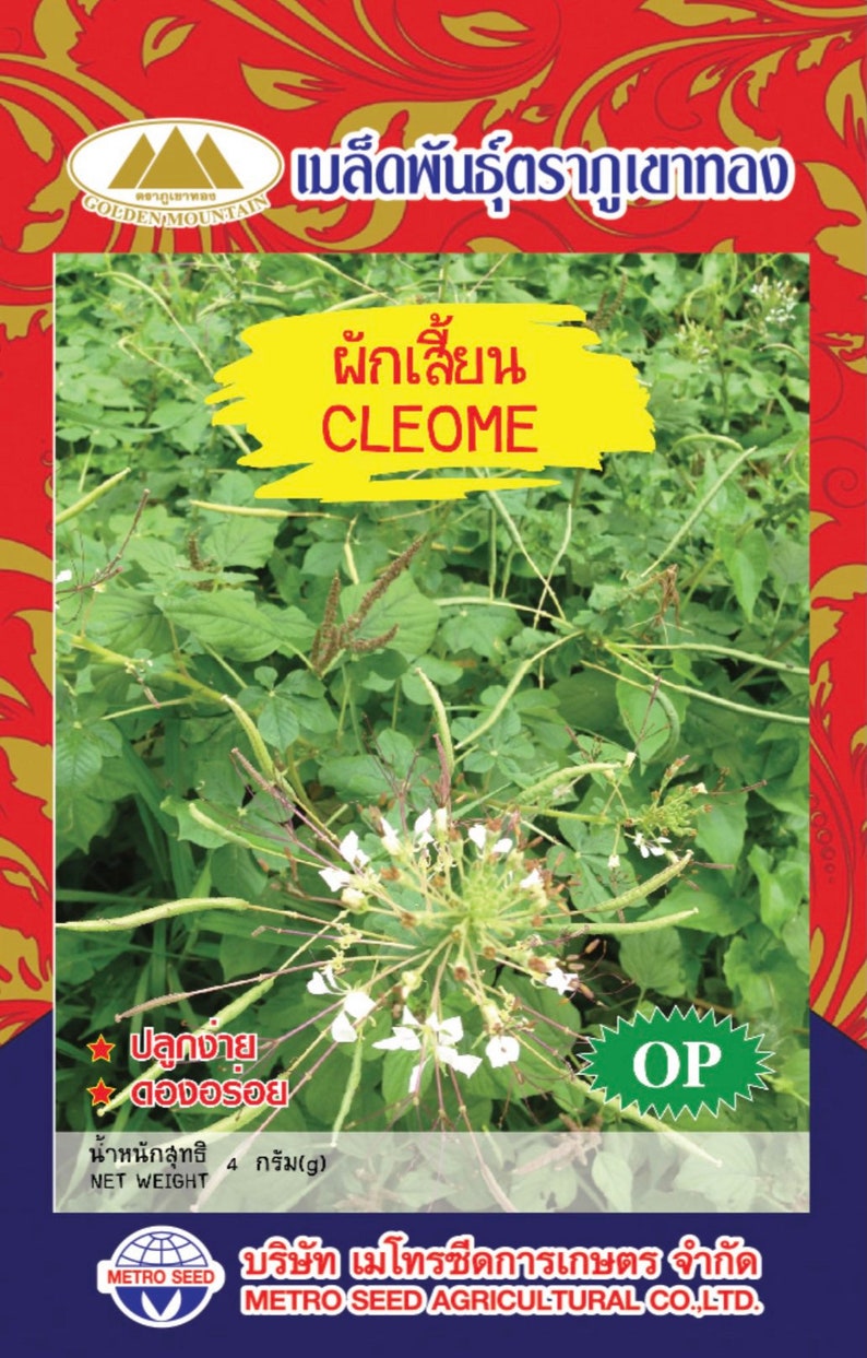 Wild Spider Flower Seed - Thai Cleome Seed - Thai Tare - Thai Phak Sian ...