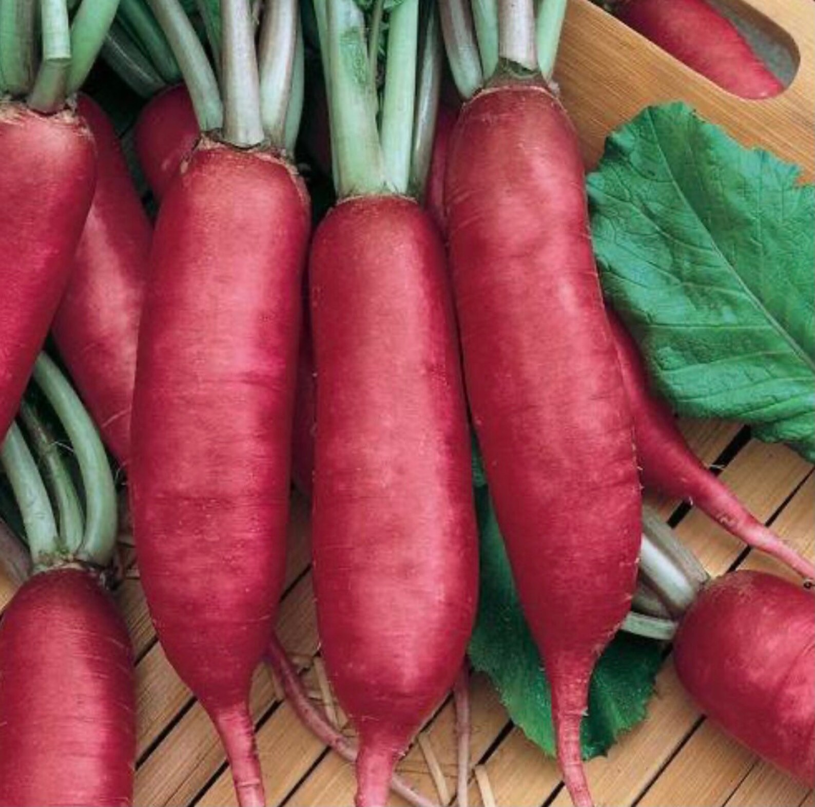 Pink Summercircle Radish Seeds - Etsy