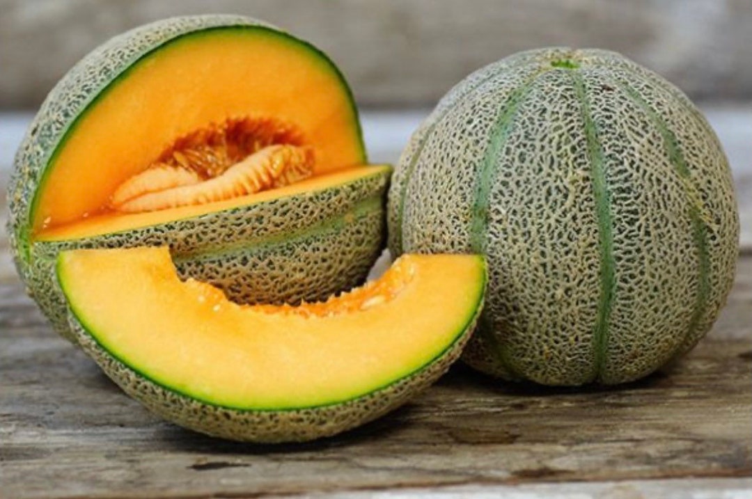 Hearts of Gold Melon Seeds - Etsy