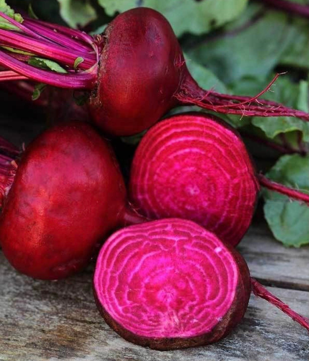 Crosby’s Egyptian Beet Seeds - Etsy