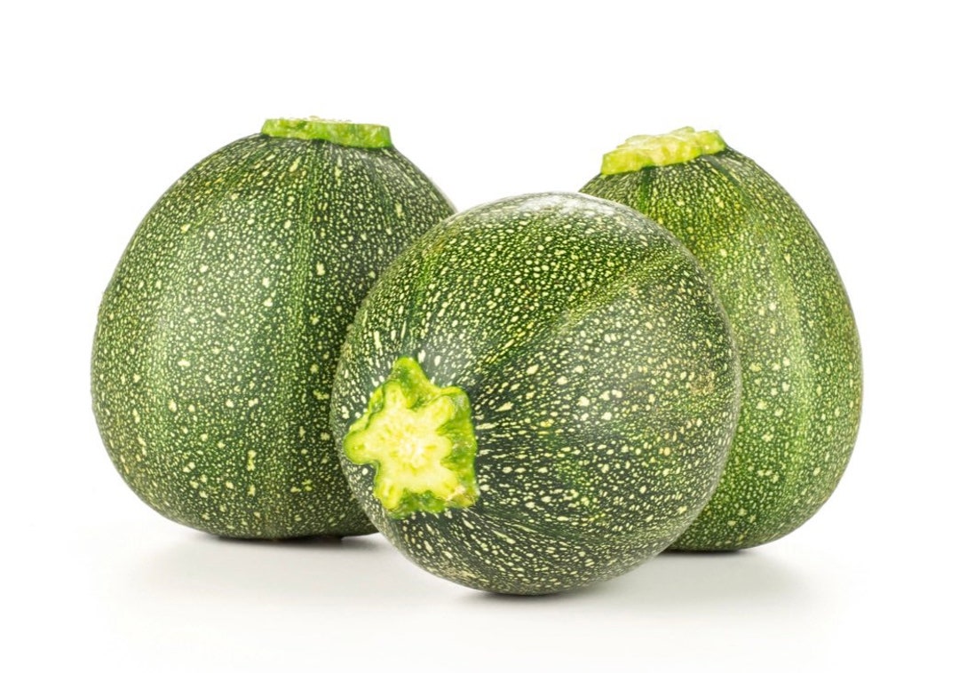 Round Zucchini Summer Squash Seeds - Etsy