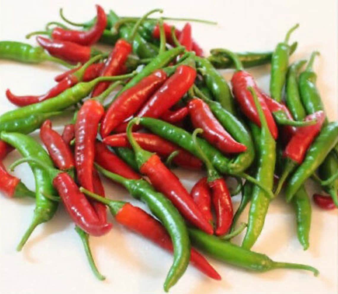 Korean Pepper Gochujang King Seed (10 Seeds) NON-GMO - Etsy