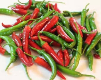 Korean Pepper Yeori Gochu Seed 10 Seeds NON-GMO | Etsy