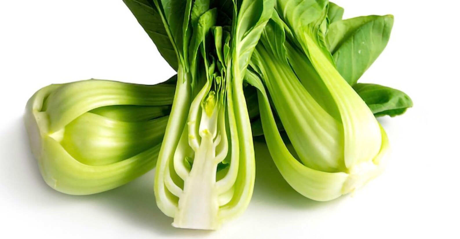 White Stem Pak Choi Seeds ,cabbage Chinese Vegetables Seeds (500+ Seeds ...