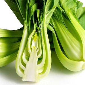White Stem Pak Choi Seeds ,cabbage Chinese Vegetables Seeds (500+ Seeds ...