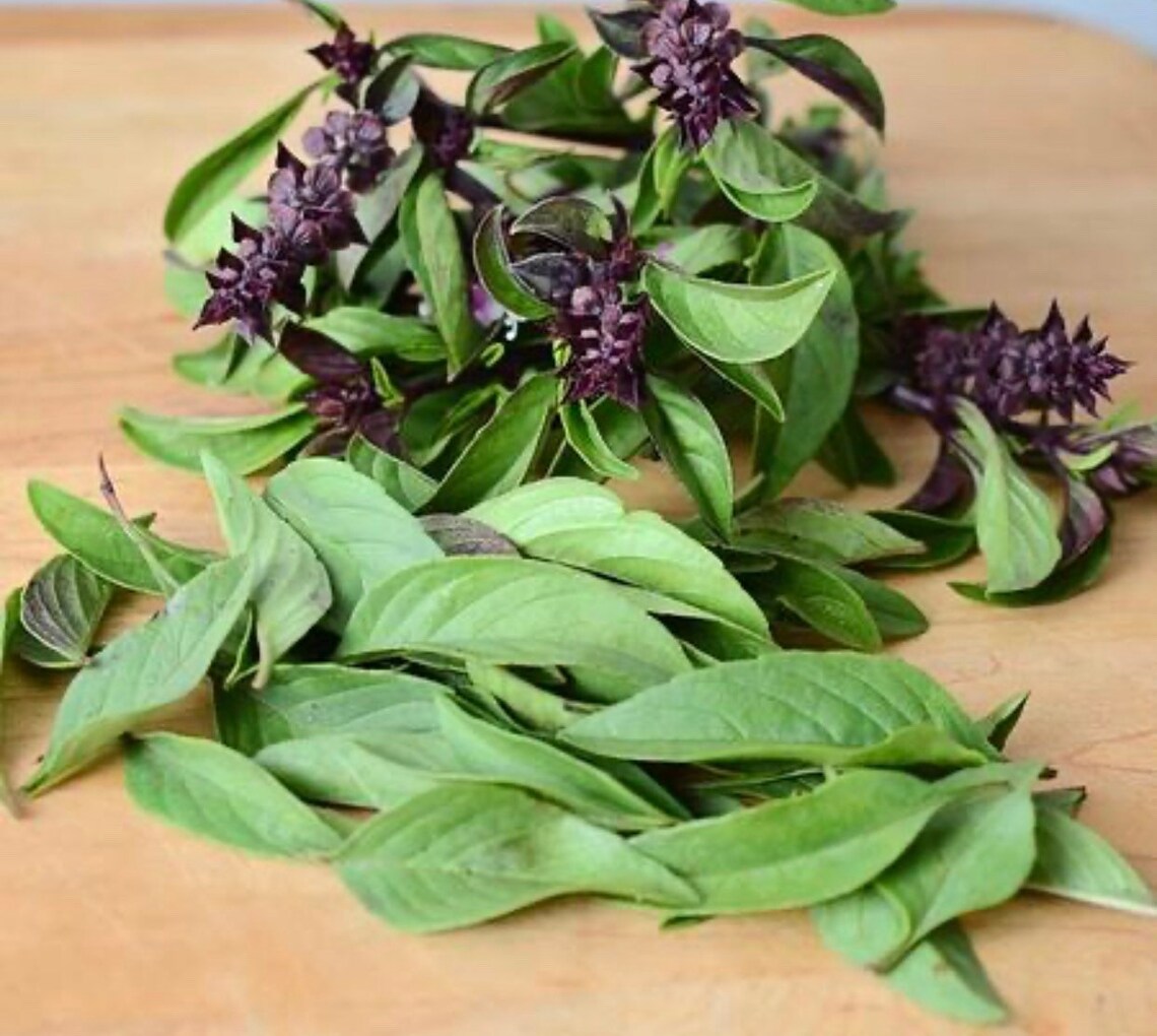 Basil Siam Queen Seeds - Etsy