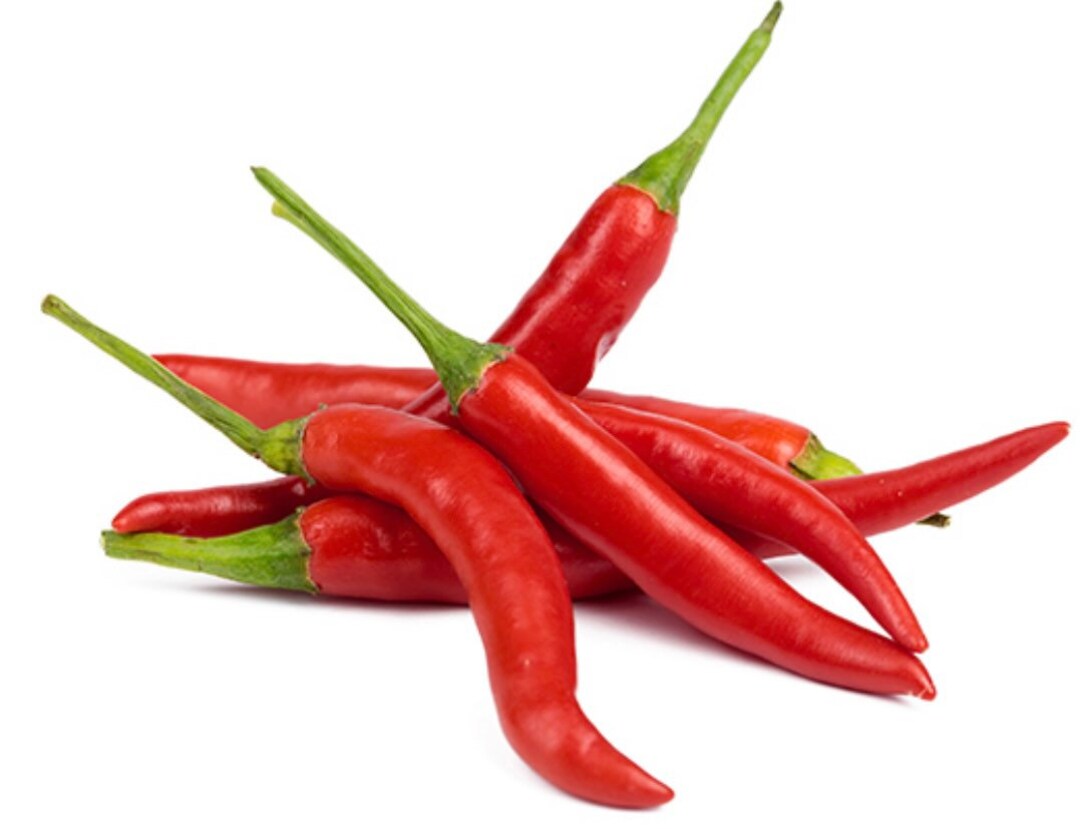 Thai Chili Seed (10 Seeds) - Etsy