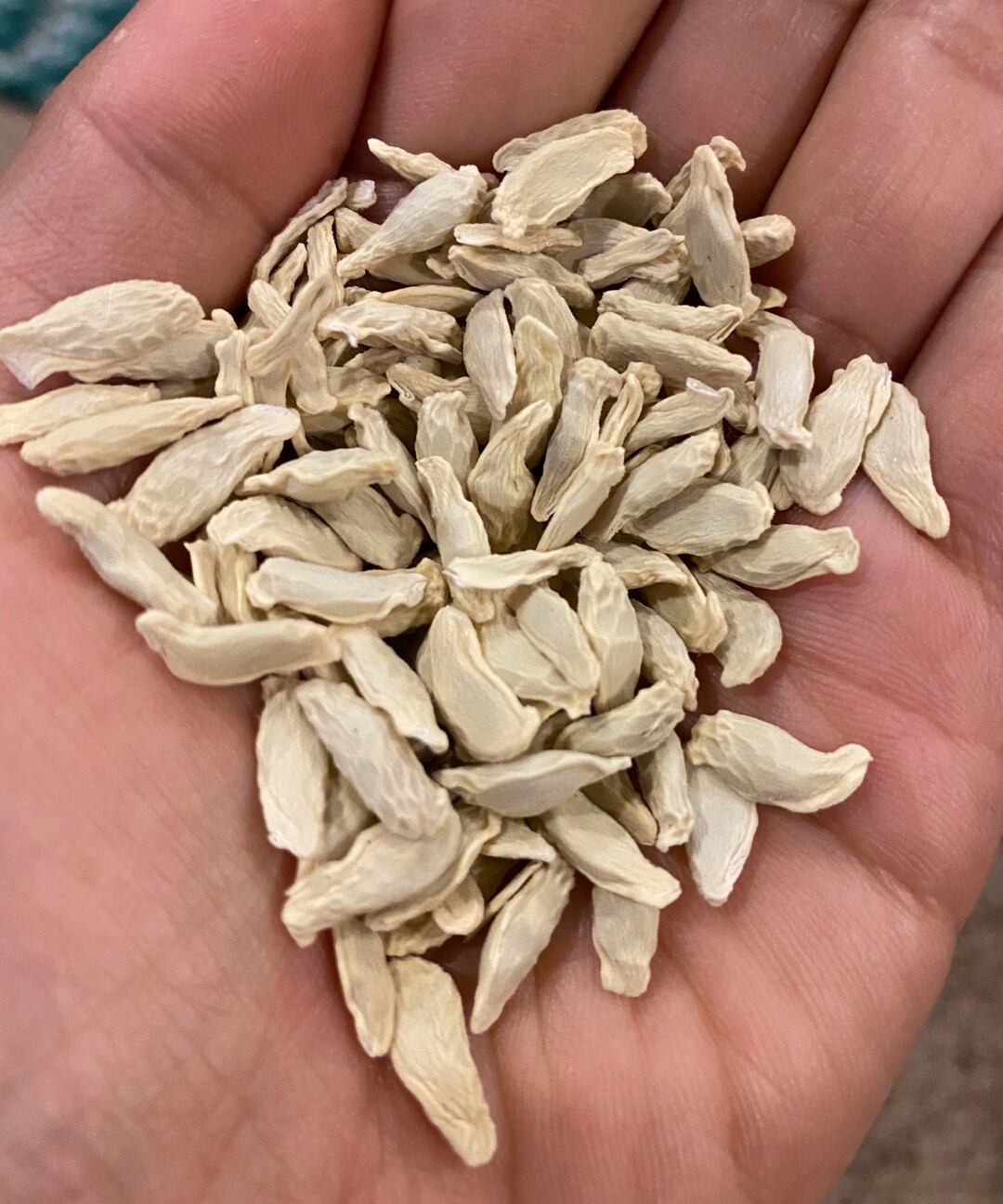 Kaffir Lime Seeds (5 Seeds) - Etsy