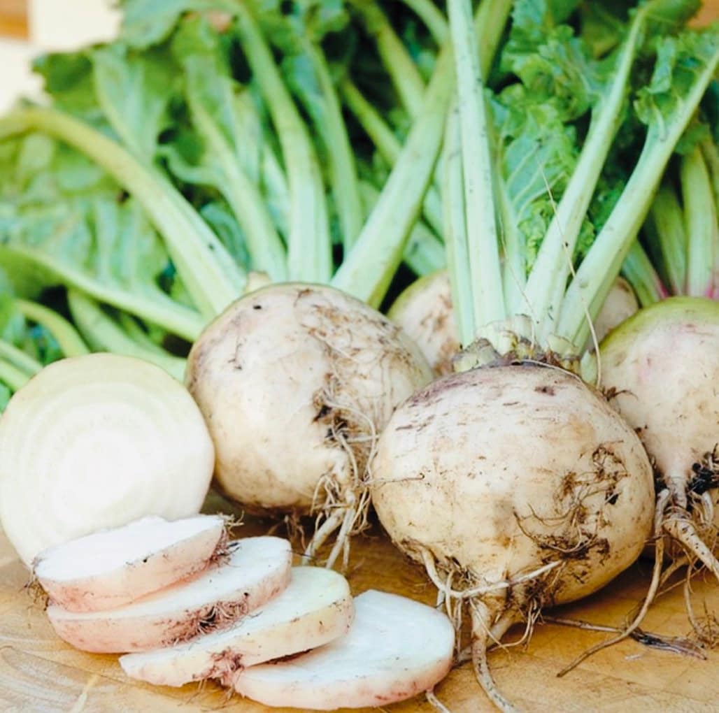White Albino Beet Seeds - Etsy